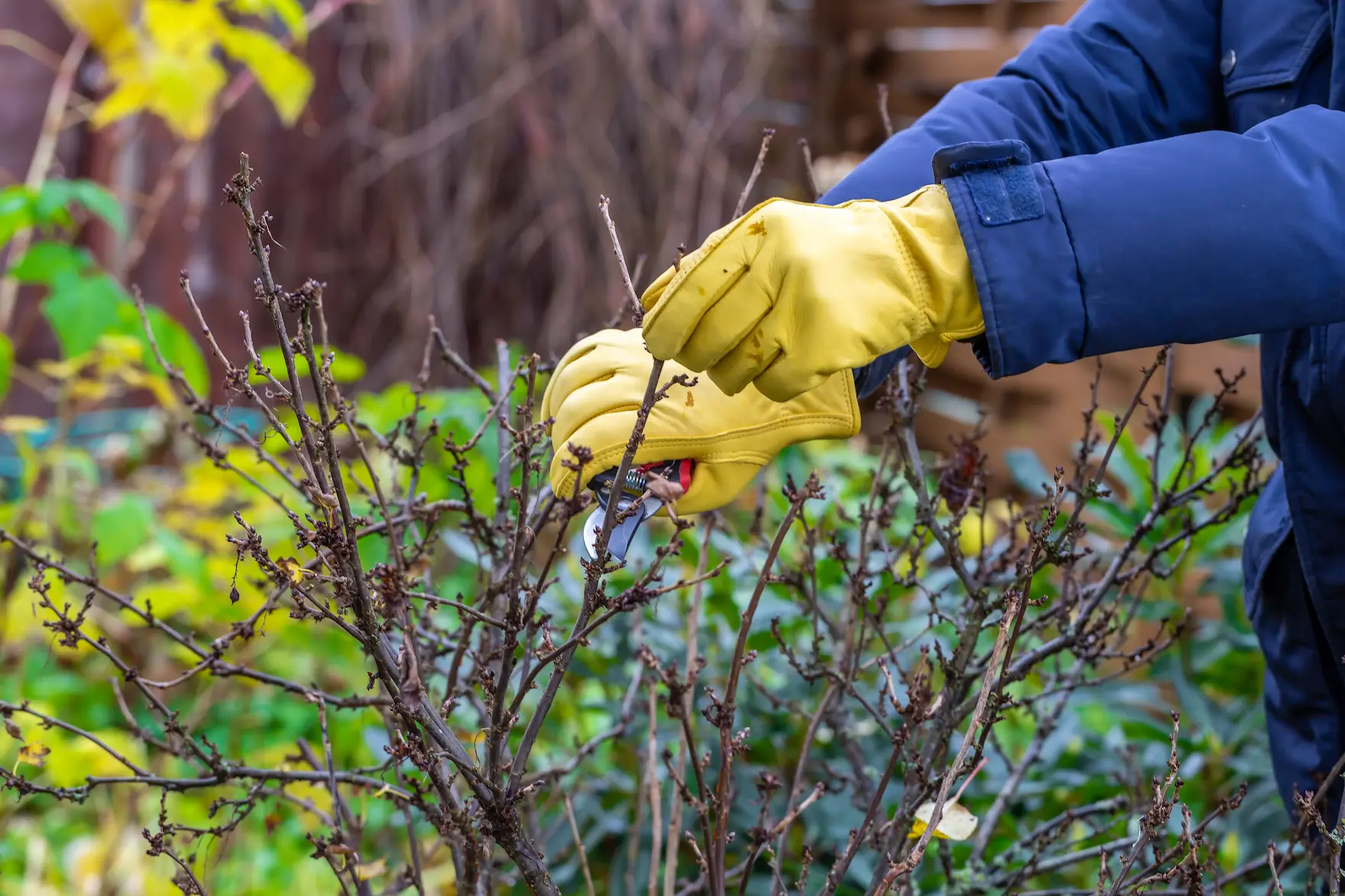 Your Spring Cleaning Tips and Hacks: Part 7 – Cleaning Outdoor Spaces ...